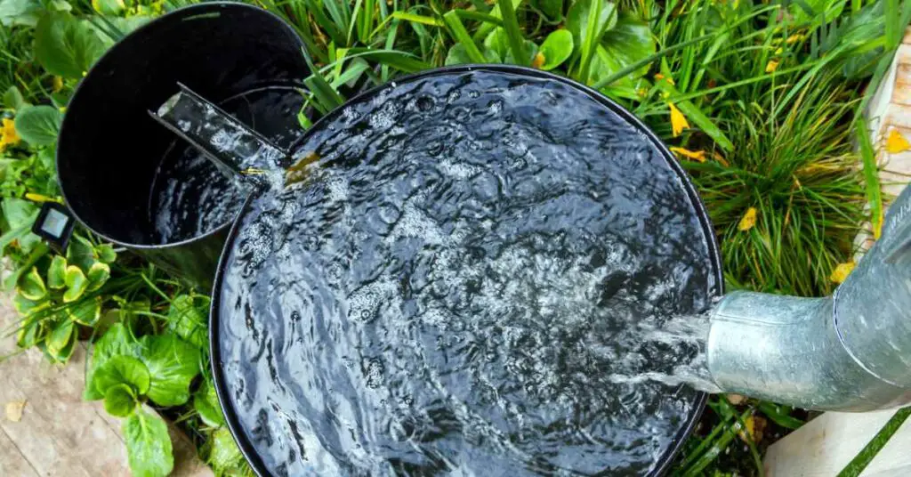 How to Use Rainwater For Toilet Flushing? (Explained)